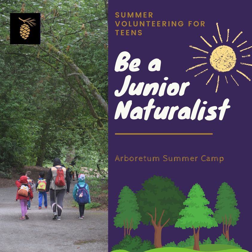 Summer Volunteer Opportunity - Junior Naturalist - Garfield High School ...