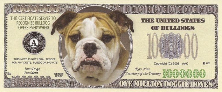 Students can Earn 'Bulldog Bucks' - Garfield High School PTSA